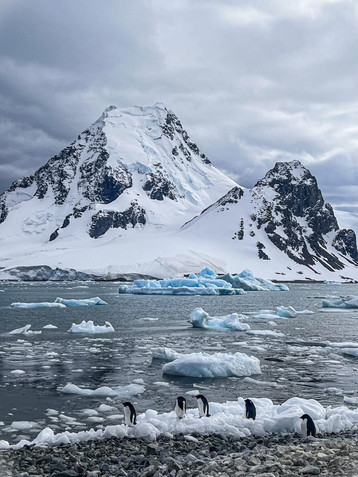 Dispatches from Antarctica. This trip of a lifetime exceeded my… | by ...