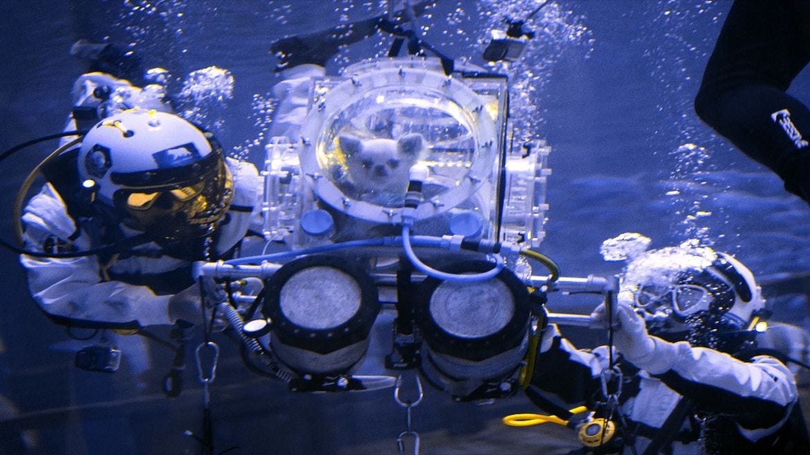 6 stories about UMIC’s underwater space habitat this month | by Chris Yuan | Medium