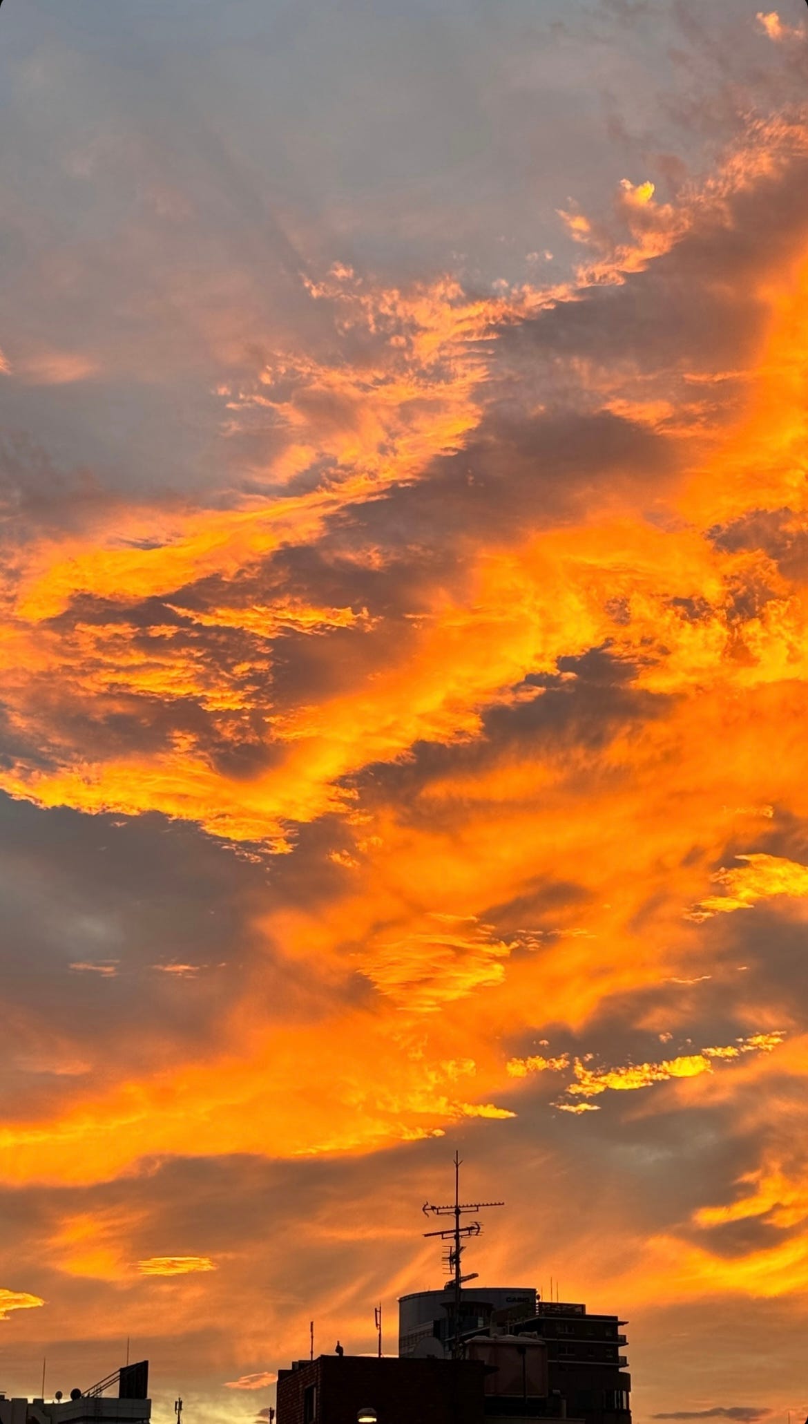 Left my baggage back | Poetry on Medium | Adeline Dahal | Medium