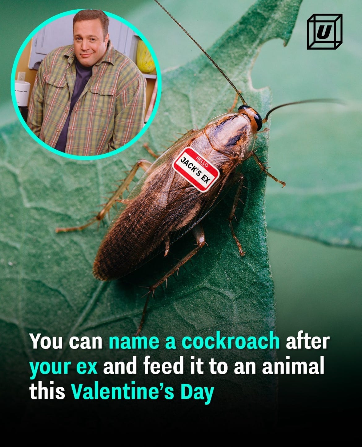 Well, that’s one way to turn a roach into a love coach - KINK ...