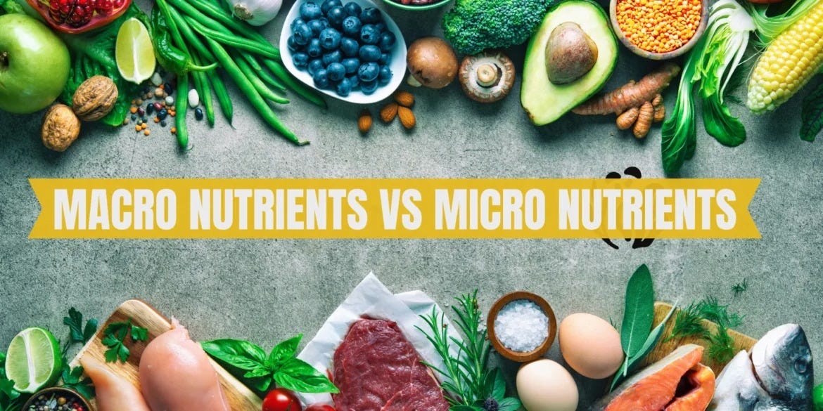 Discover the Incredible Benefits of Macro and Micronutrients | by ...