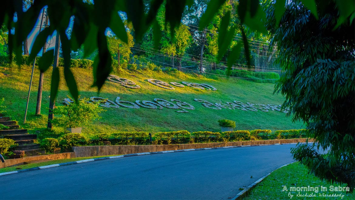 🎓 Campus Life at Sabaragamuwa University: A Journey to Remember | by ...