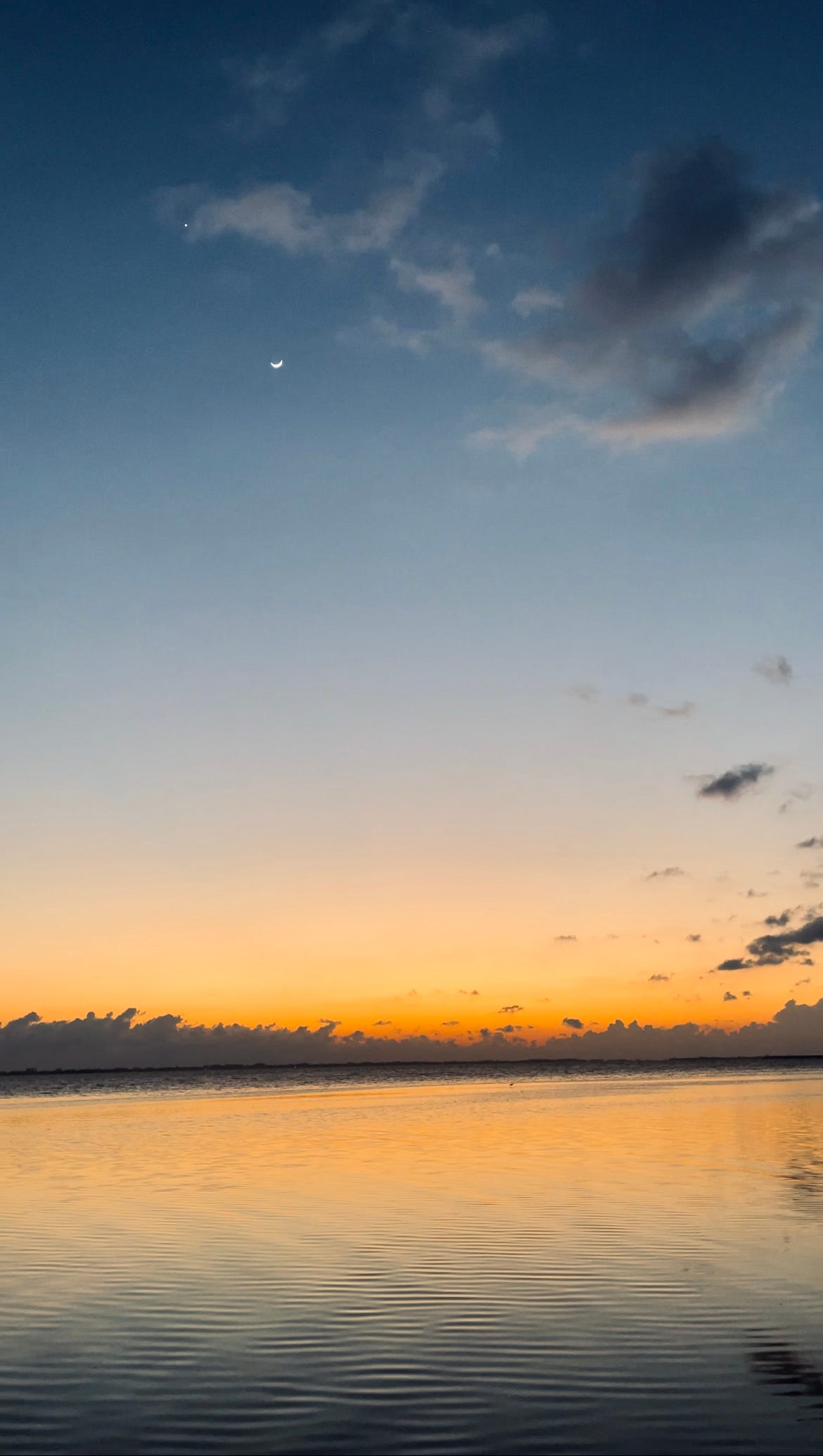 The Gift of Grief. I remember thinking a few years ago how… | by Cindy ...