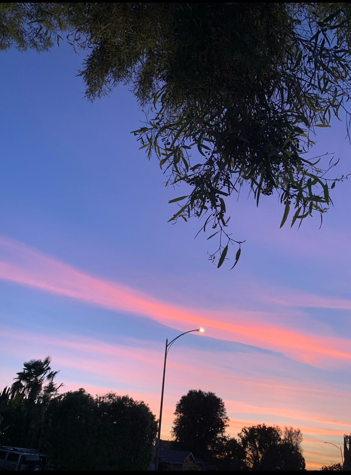 Help! I Can’t Undo My Slow Living Mindset | by bluesapphire ...