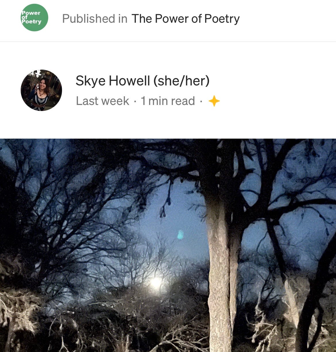 I. Am. A. Writer. - Skye Howell (she/her) - Medium