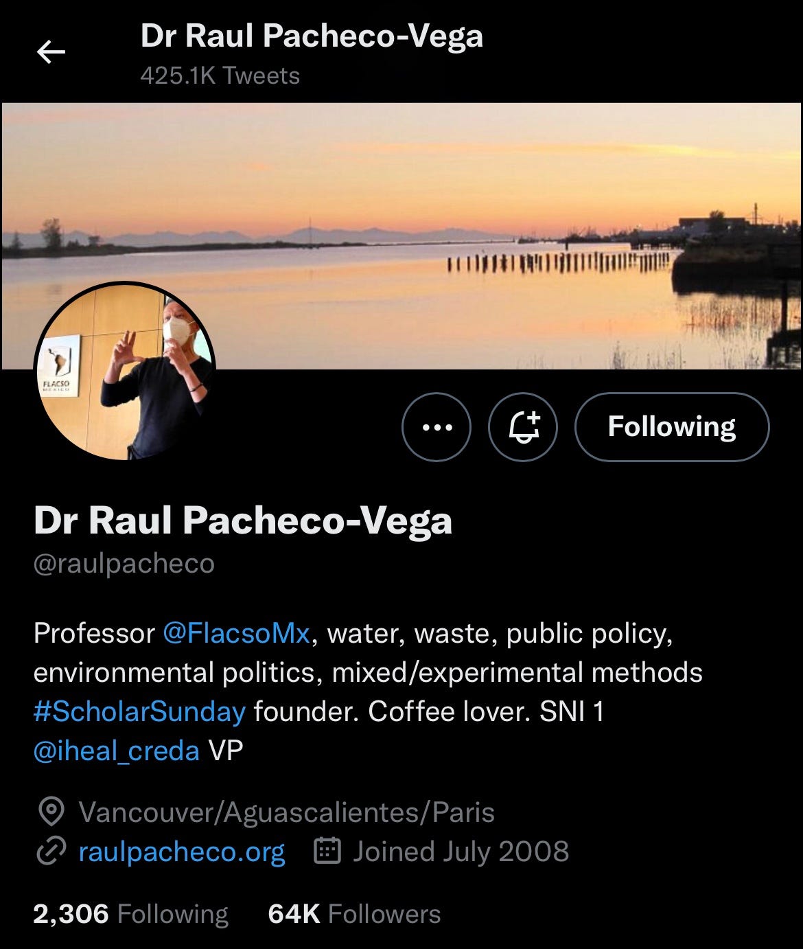 Raul Pacheco-Vega: The Ultimate Academic Mentor and Resource | by ...