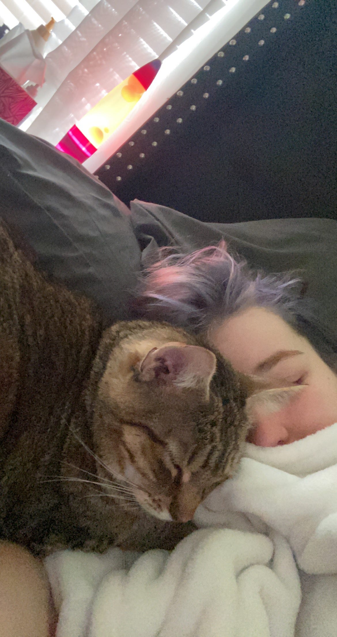 Always an Addict. While I wait for my cyberschool’s… | by cc pesc | Medium