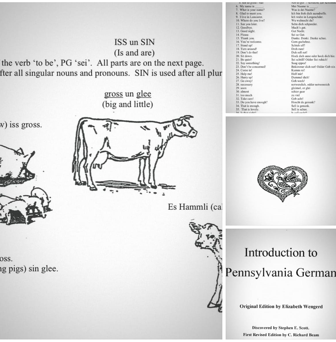 Language Reclamation and Accounting for Lineage | by Nicole Bauman | Medium