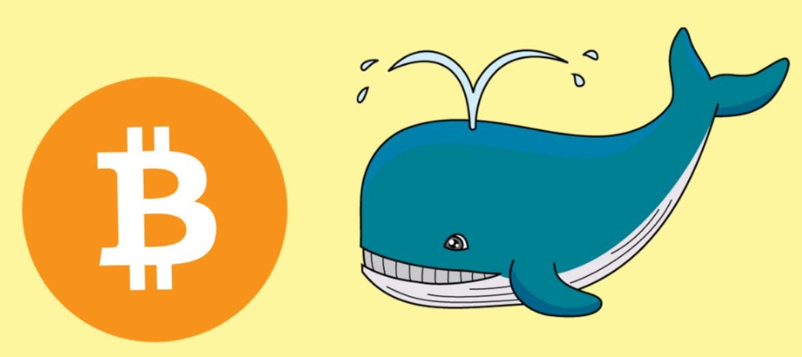 Who is a ‘Whale’ in Cryptocurrency? | by Benjaminbar | Medium