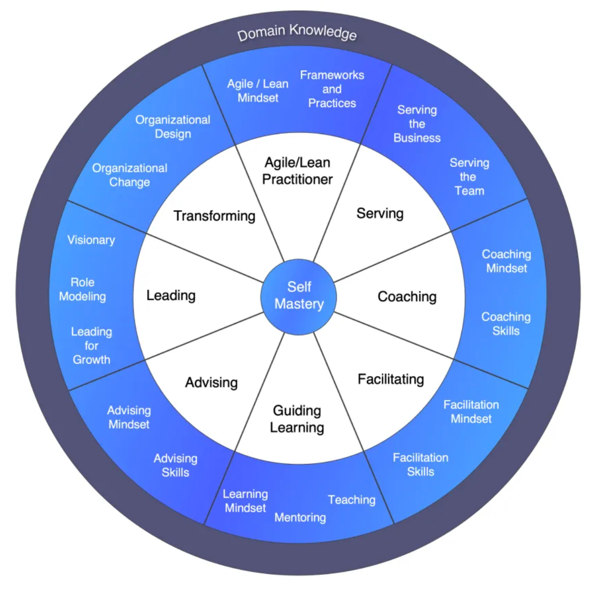 “Rebranding in Challenging Times: The Case of the Agile Coaching Growth Wheel” | by Natasha ...