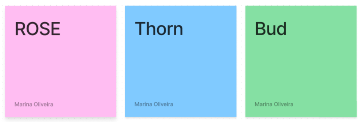 Design Thinking: Rose, Thorn e Bud na prática | by Marina Oliveira | UX ...