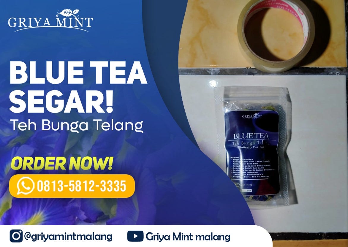 TELANG KERING , WA 0813–5812–3335, Bunga Telang Warna Biru Blue Tea ...