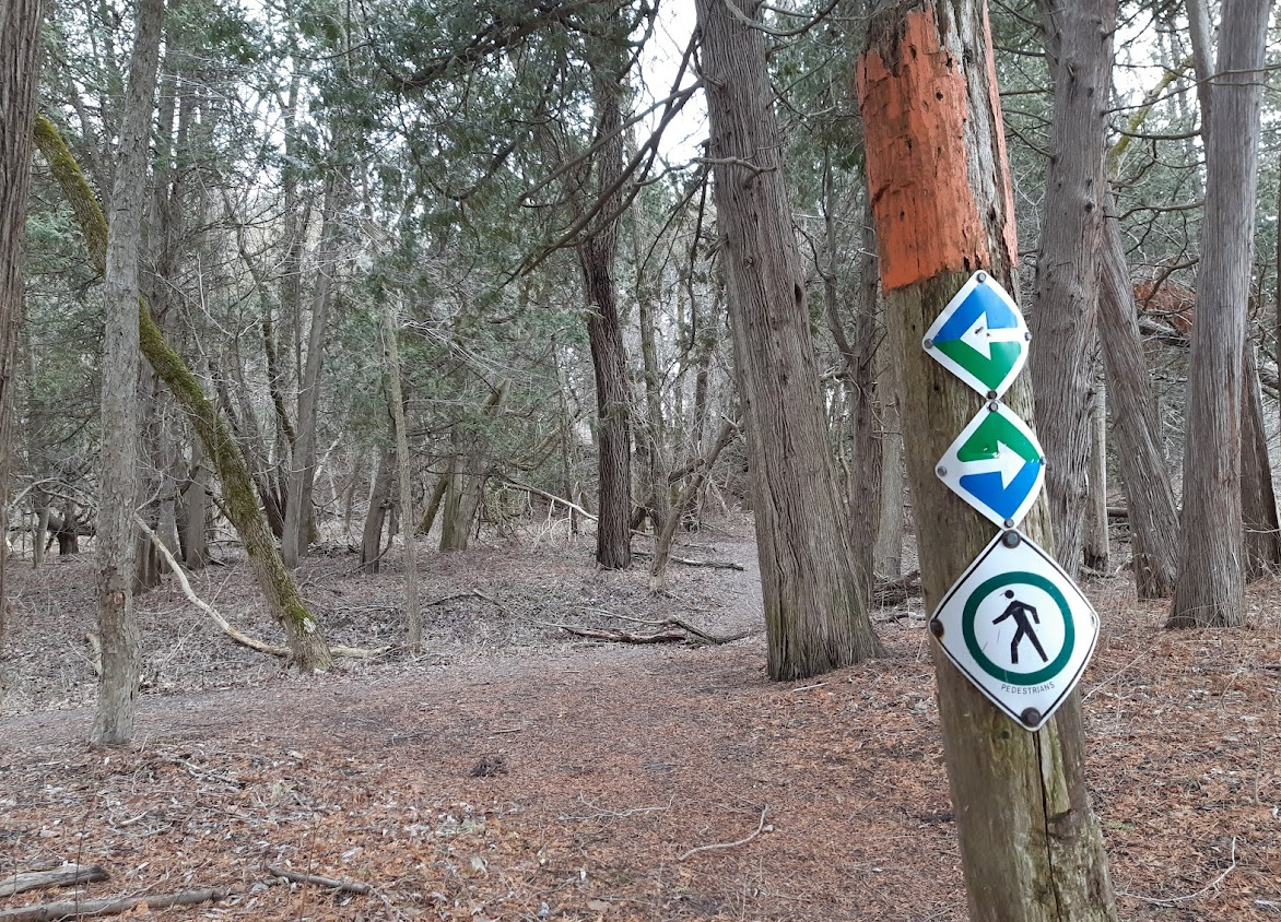 Double Quote In Value String When Loading Json Data To Snowflake By Feng Li Medium