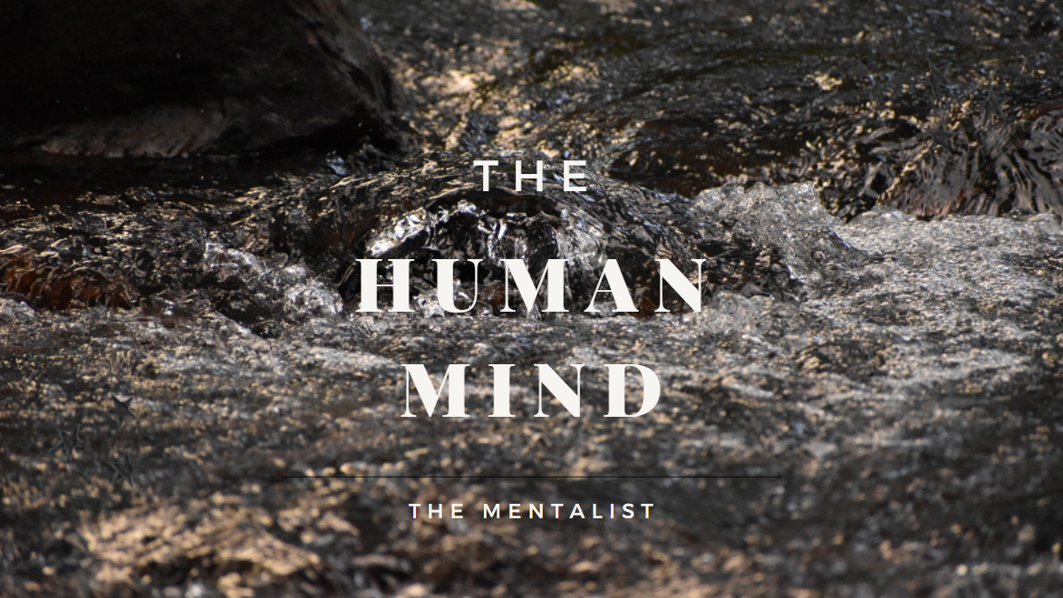 The Human Mind- 1. Everyday thoughts I encounter in my… | by The ...