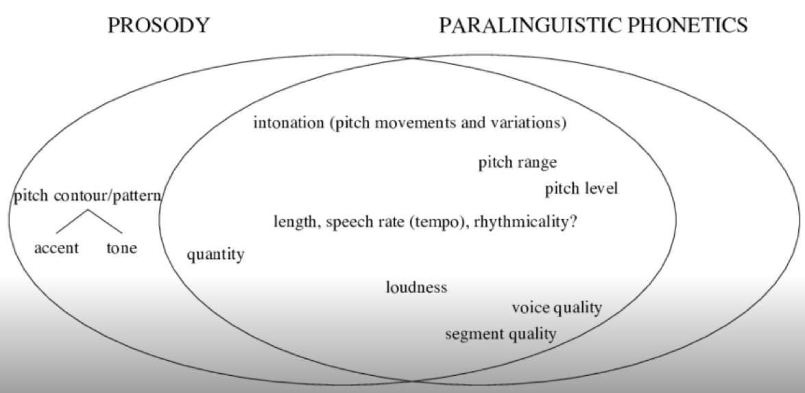 Natural Language in a Nutshell. Language: English | by Rupomcse23 | Medium