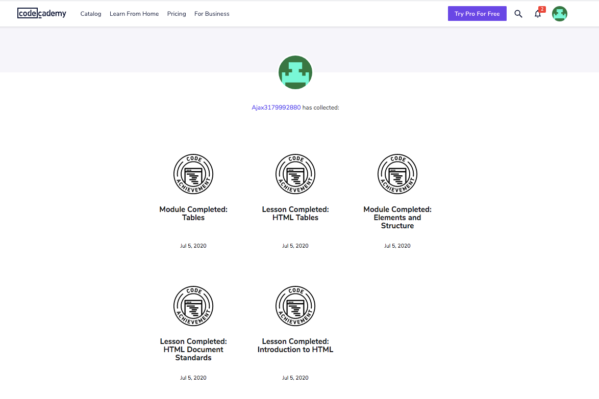 Learning to Code with CodeAcademy! | by Si Eun (Shawna) Oh | Medium