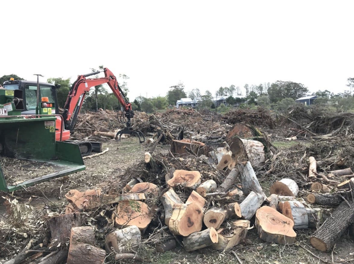 Stump Removal - dynamic treesolutions - Medium