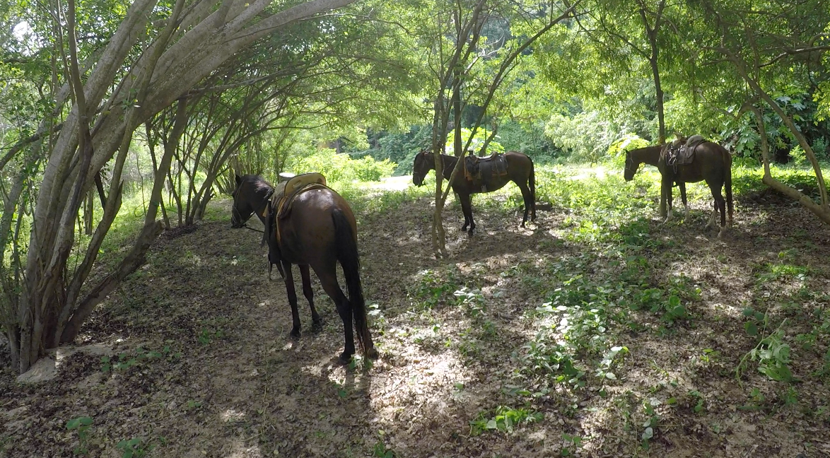 Atotonilco Hot Springs. A guide on how to get to this natural… | by Cody Bontecou | Hotspringers ...