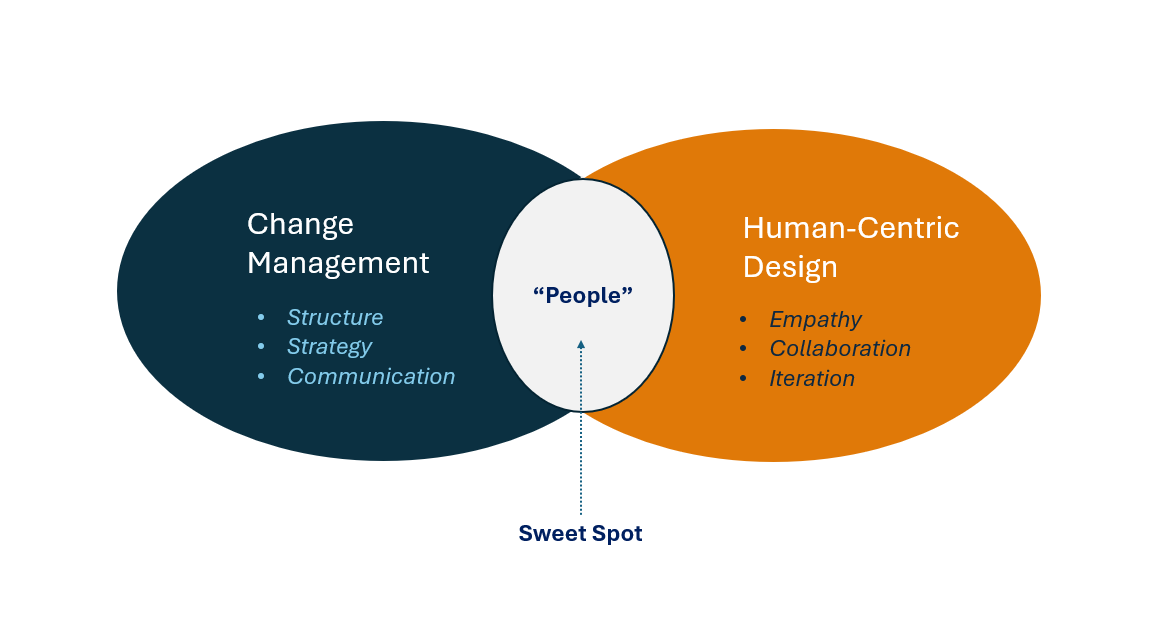 Human-Centric Design Meets Change Management | by Esra Dereli | Jan ...