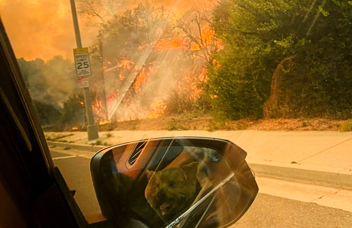 Palisades Fire Survivor: Peter Viles | Hear in LA