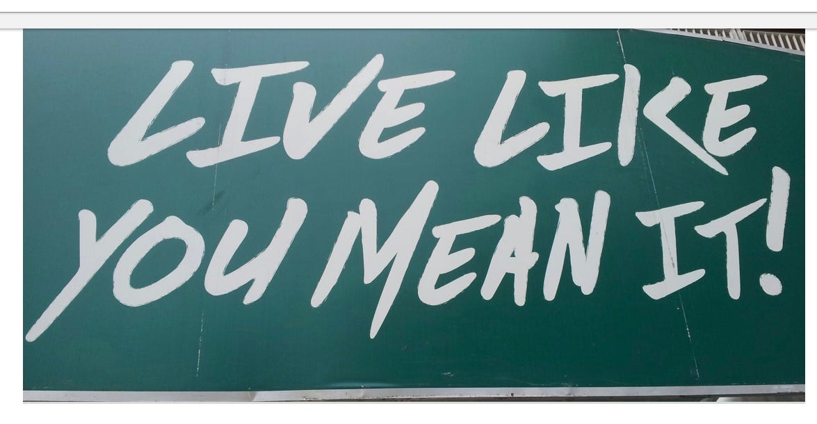 5 ways to live now. We all want to live a better life each… | by Robert ...