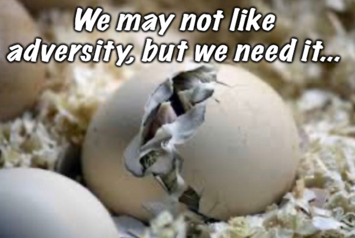 We, people, don’t like adversity… But we need it. Without adversity we ...