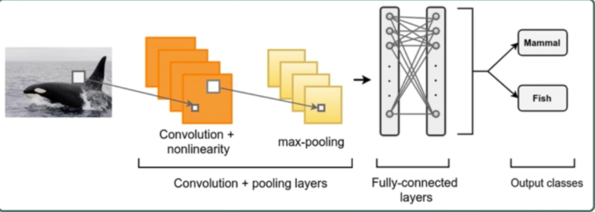 Convolutional Neural Networks (CNN): An Introduction to Image Classification | by Harshikapathak ...