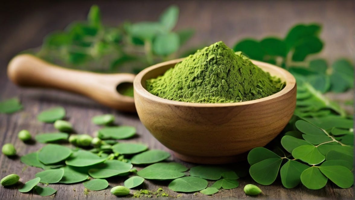 Burst of Wellness: Discover the Power of Moringa Powder | by Stay Fyted ...