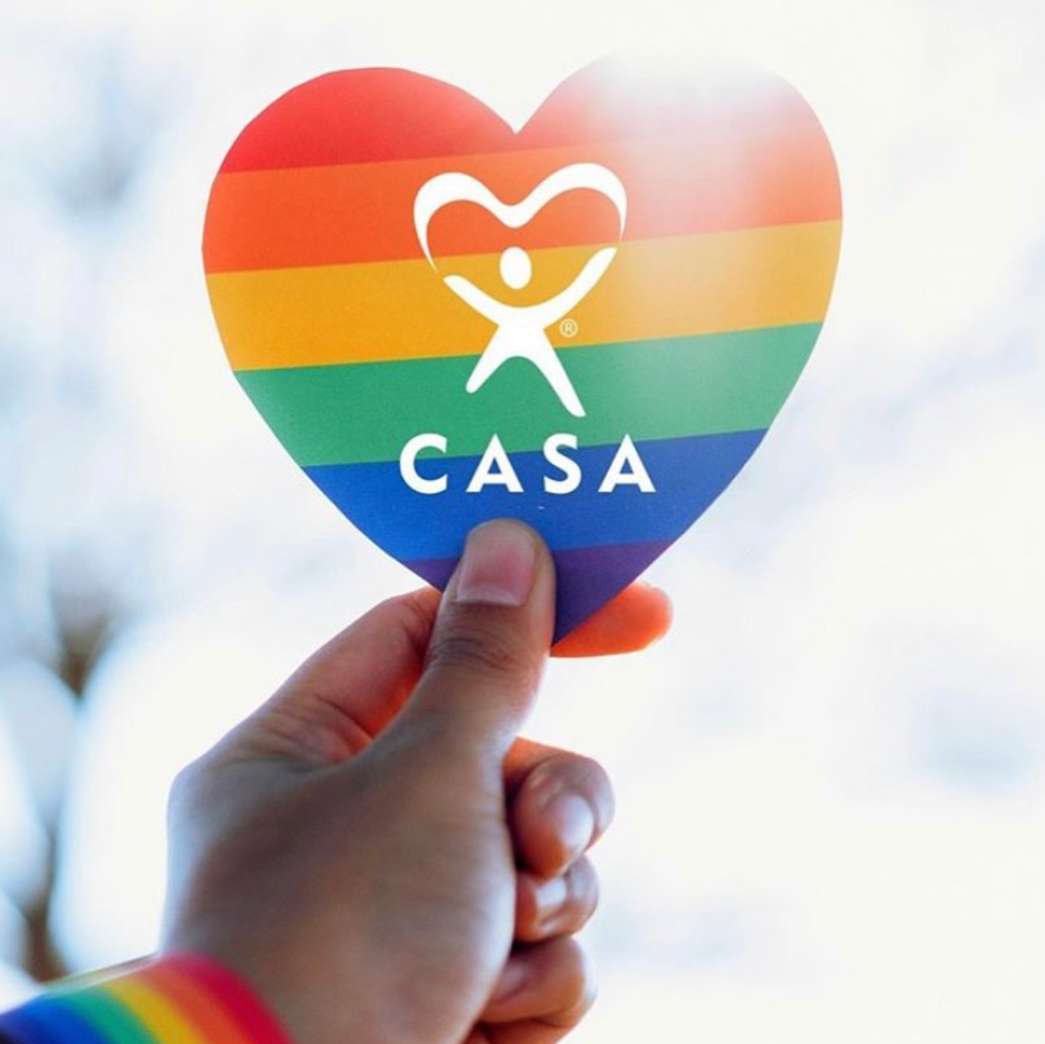 Top 5 ways to Support CASA in Larimer County | by Addie Cavallaro | Medium