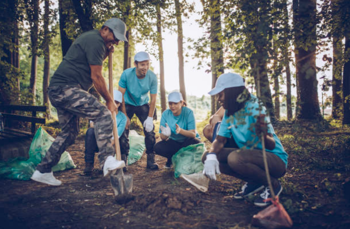 Green volunteerism in the UK — we need to scale up asap. | by ...