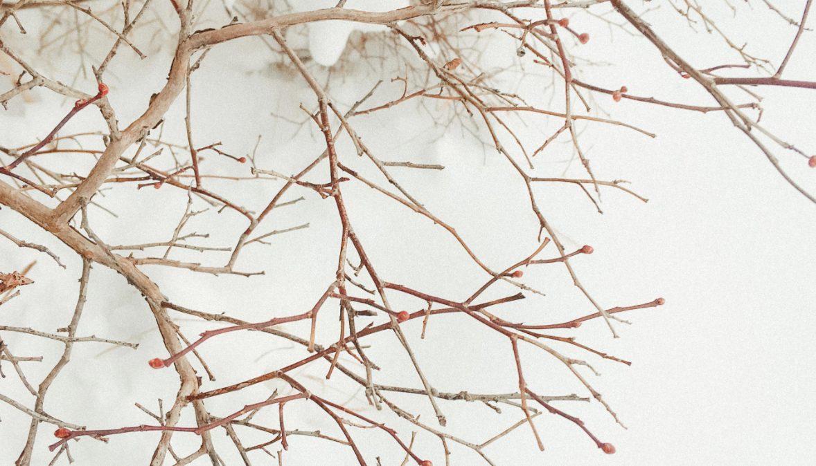 Link Prediction Recommendation Engines with Node2Vec | by Vatsal | Towards Data Science