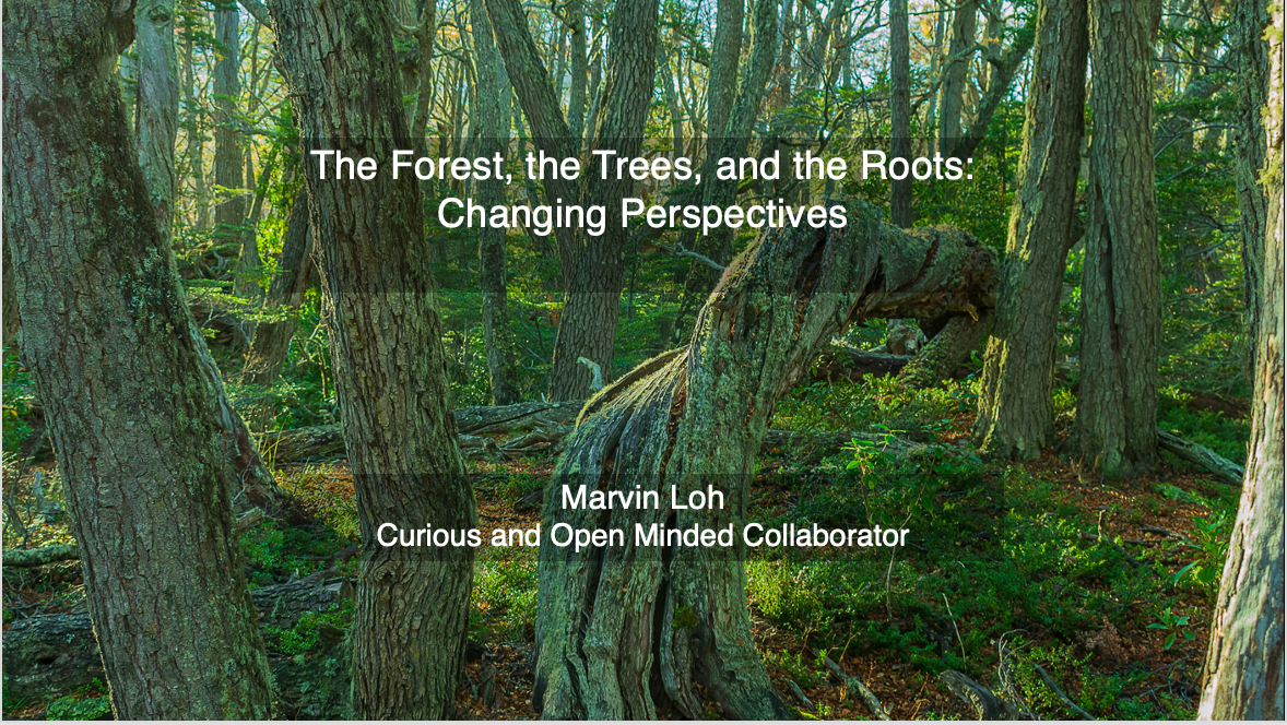 Marvin Loh - The Forest, the Trees, and the Roots: Changing ...