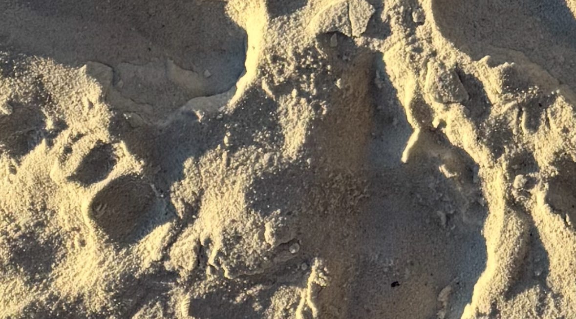 I built my house on the sand.. I built my house on the sand. | by ...