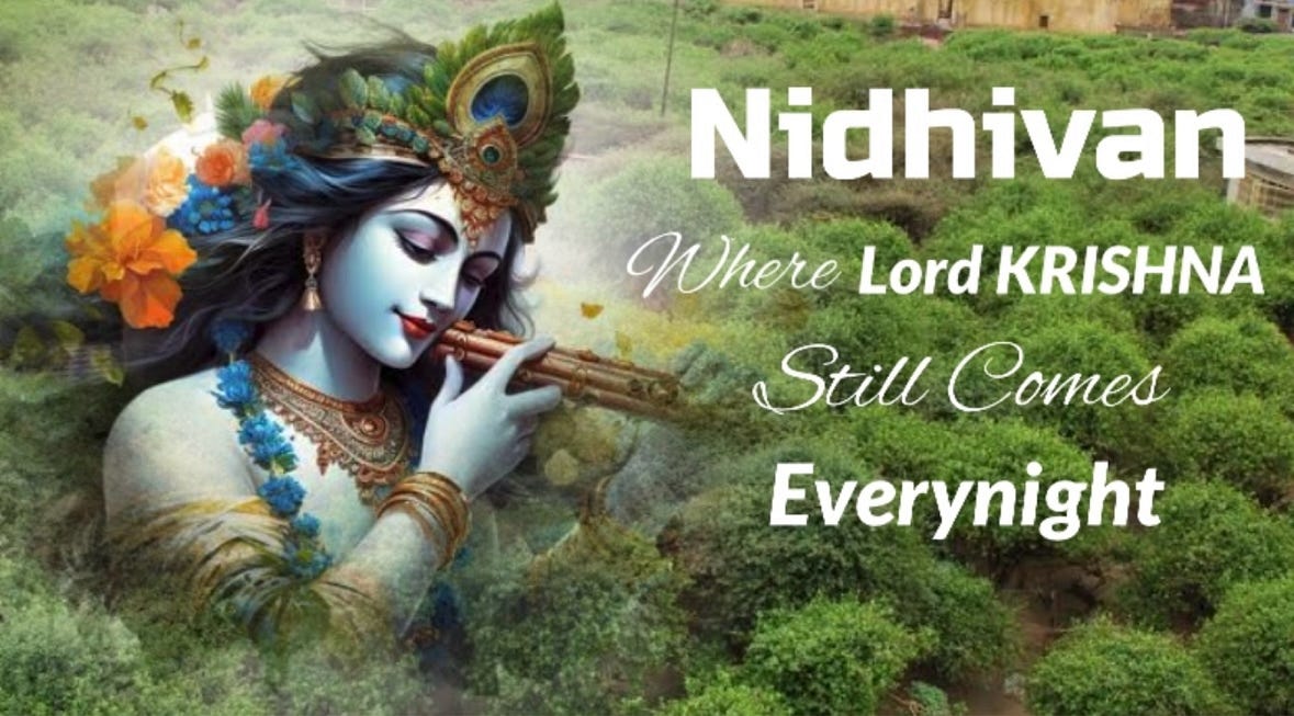 The Mystical Realm of Nidhivan and Rang Mahal: Where Krishna’s Eternal ...