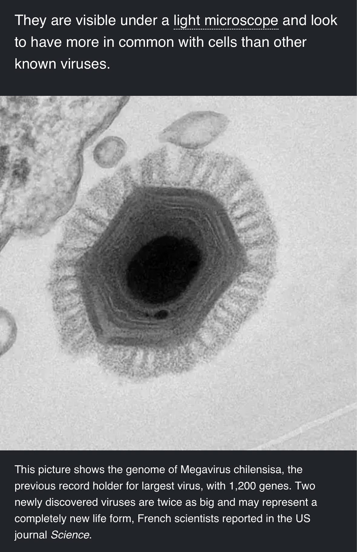 Are Viruses Alive? Challenging the Scientific Consensus | by LYGAS | Medium