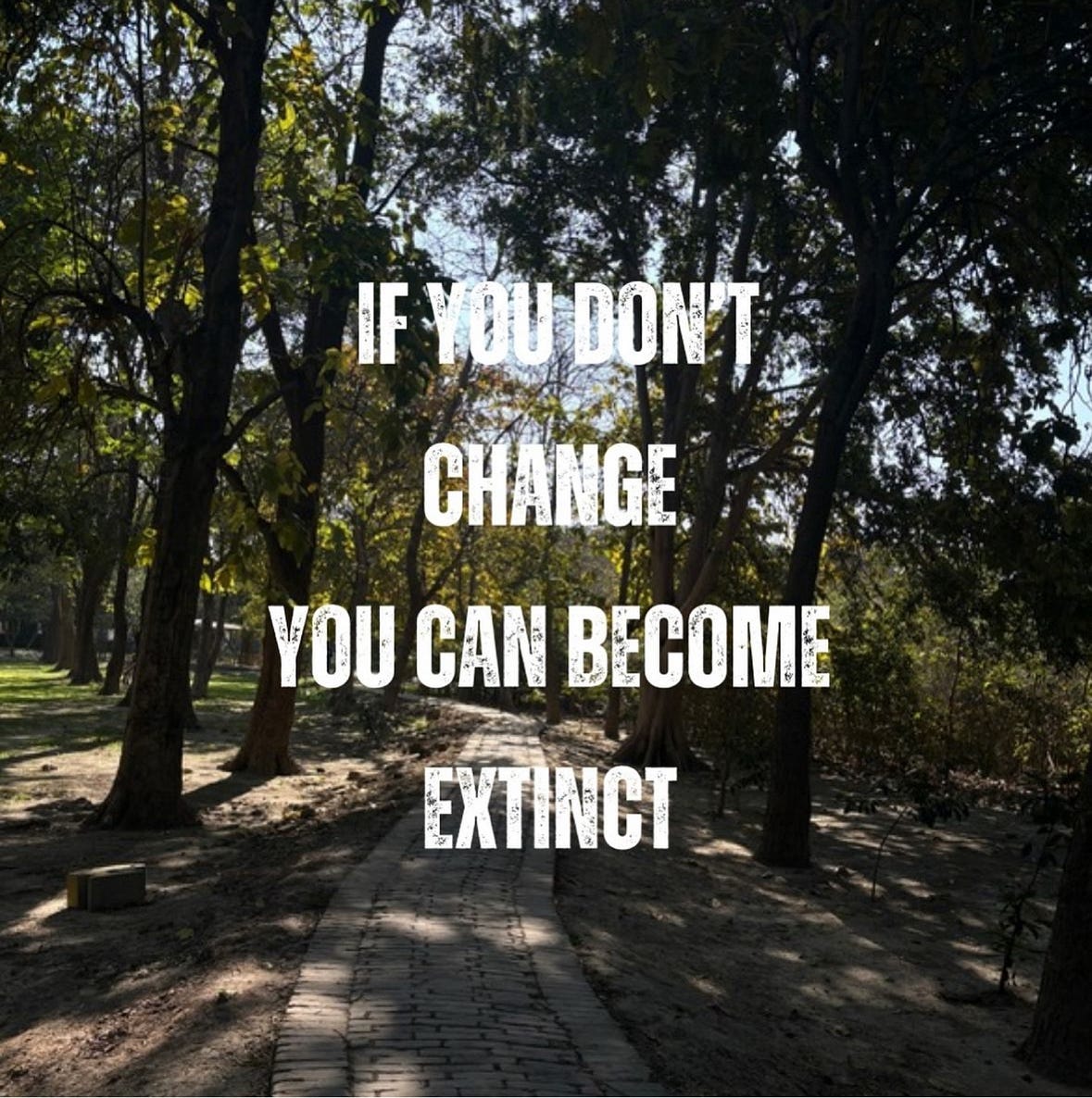 Who Moved My Cheese? A Simple Lesson on Handling Change | by ...
