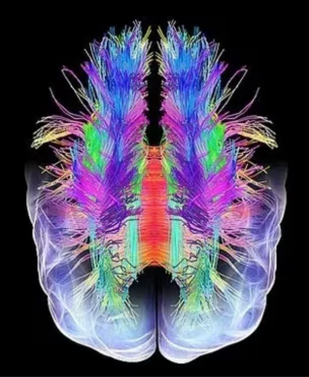 Decoding Dreams: How AI & Neurotechnology Are Unlocking the Secrets of ...