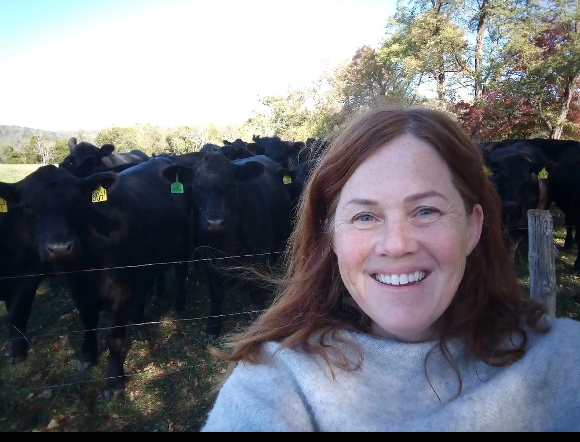 The Attorney Who Won’t Stop: Barbara Andersen’s | Promptly Written