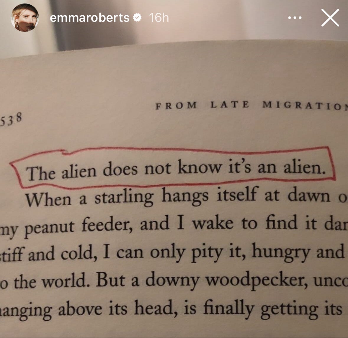 “Emma” : Alien Tech | by Louis | Aug, 2024 | Medium