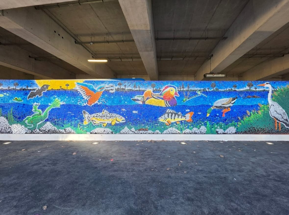 The UK’s second largest plastic mural unveiled Stockport | by Samantha ...