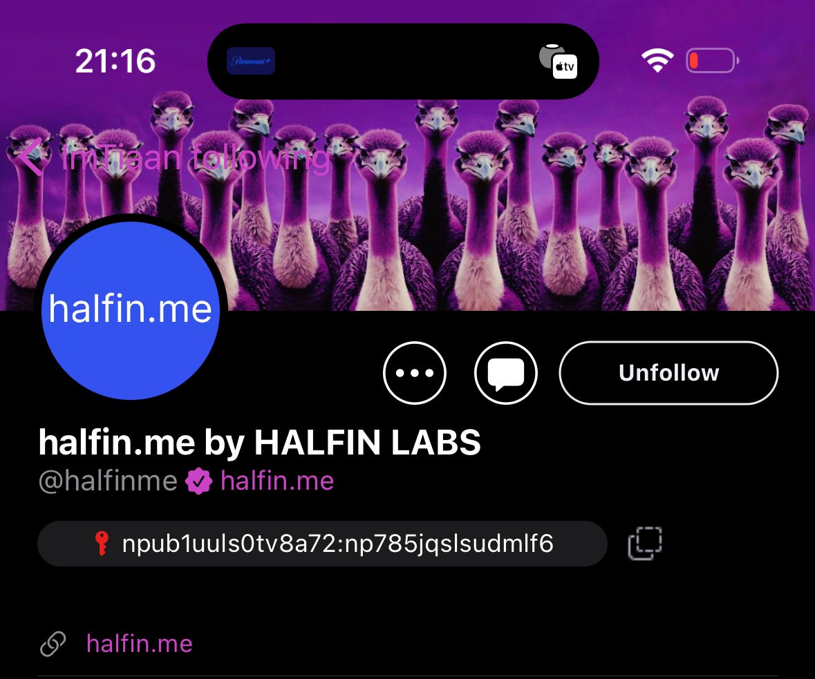 NIP-05 Verification in Nostr and how to do it | by ImTiaan | HALFIN LABS | Medium