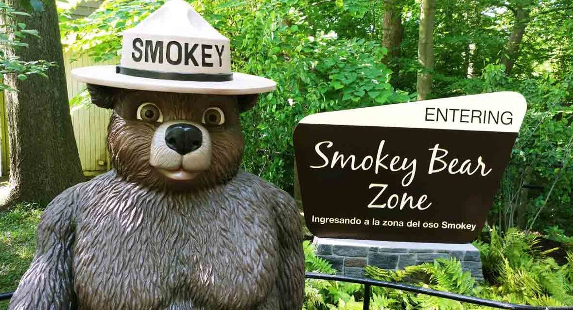 Smokey the Bear T Shirt - Smokey the Bear T Shirt - Medium