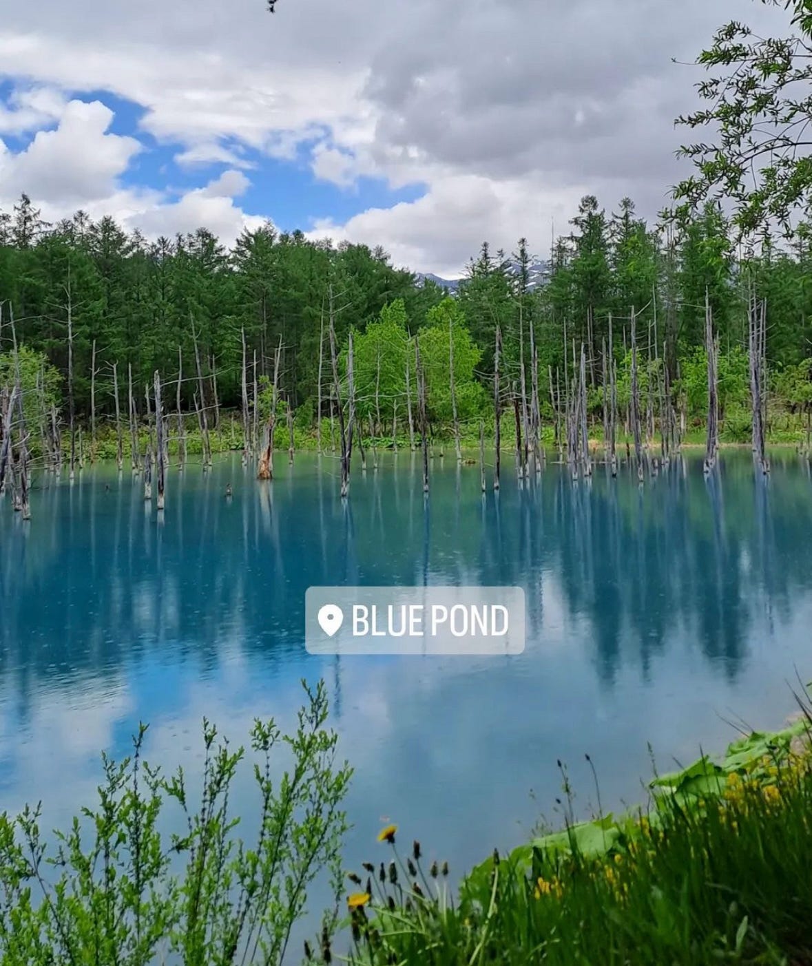 Let’s talk about something fun!. Hmm, what should I start of with! | by ...