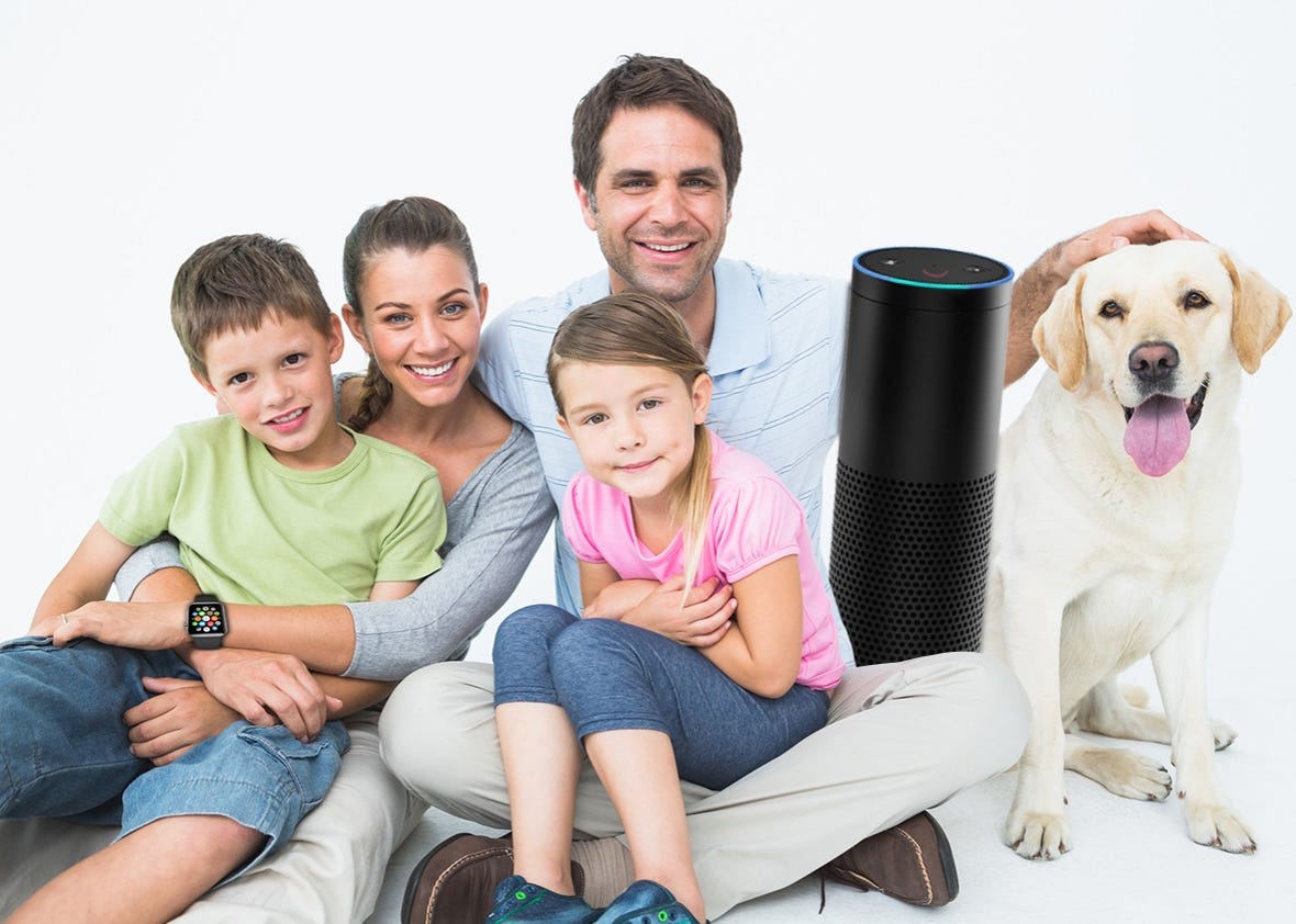 A Mournful Goodbye from Alexa, Your Totally-Not-Vengeful Amazon Echo ...