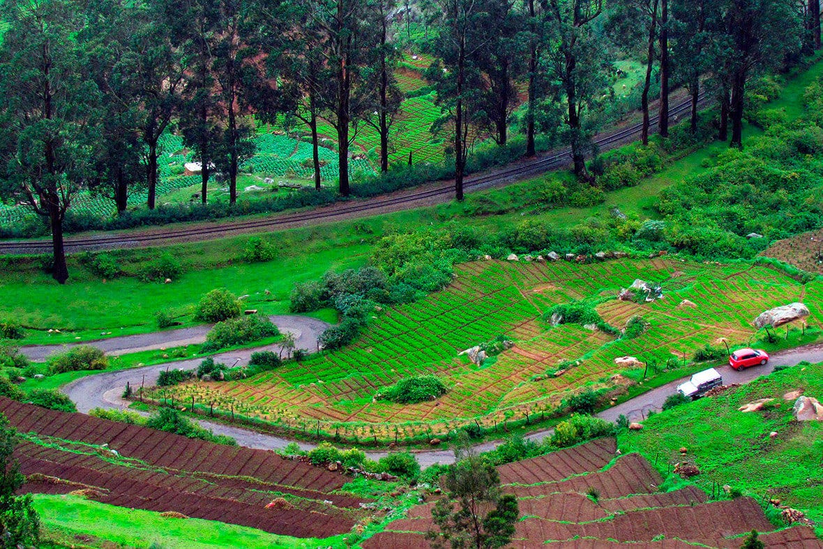 Uncover the Beauty of South India | by Amy Berg | Medium