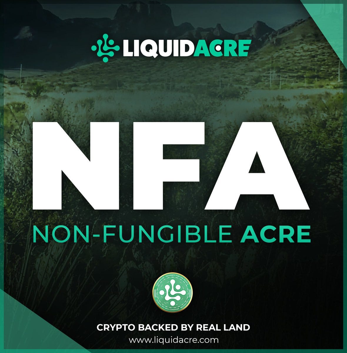 The Rise of Non-Fungible Acre (NFA) in the Digital Real Estate Market ...