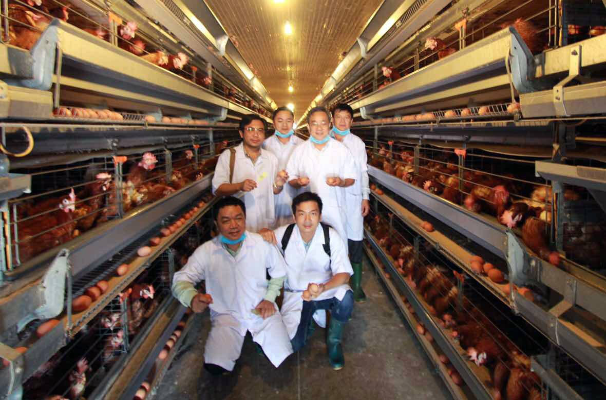 Chicken tracking implementation training in a farm of C.P. Group | by ...