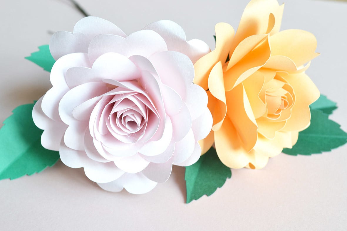 Wild Rose Paper Flower | by Auroraecho | Sep, 2024 | Medium