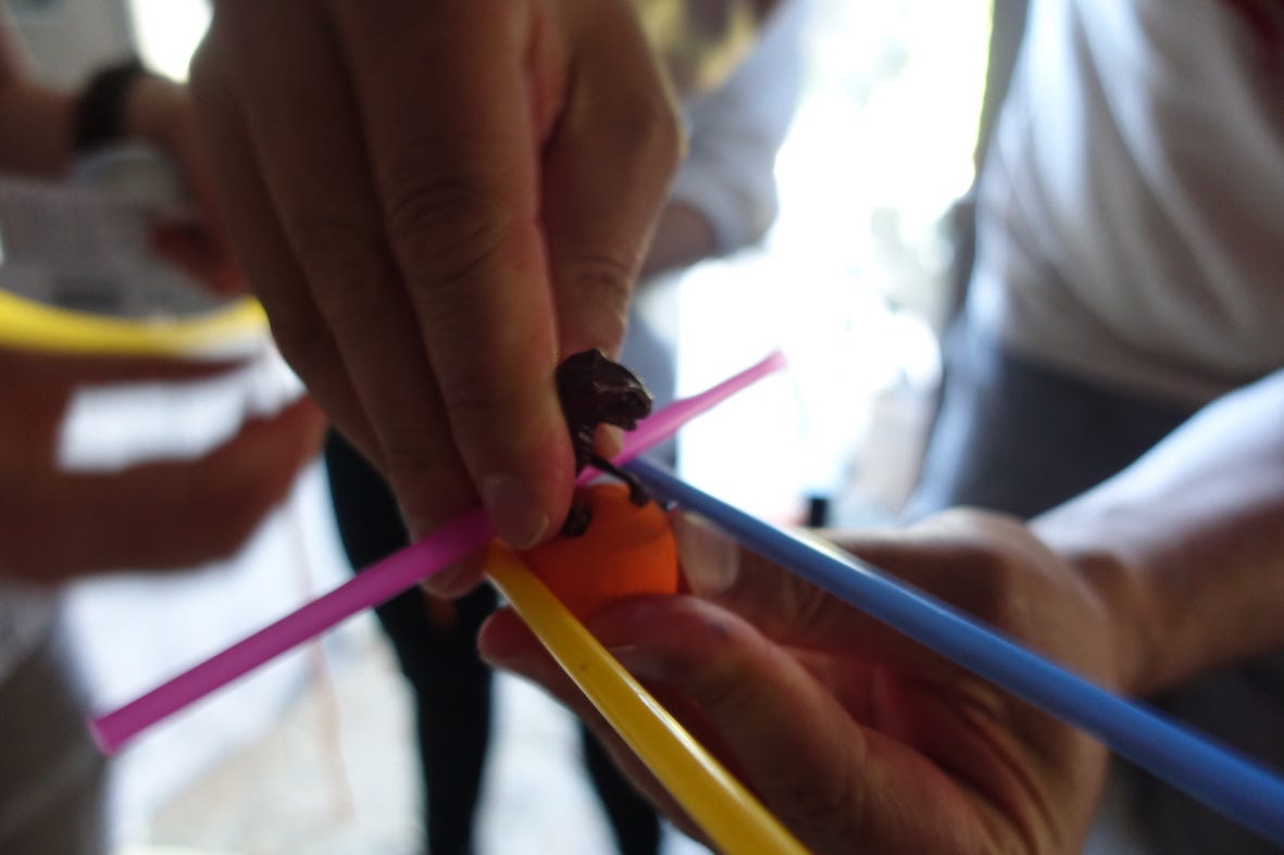 In the Beginning…. The becoming of the Wonderlab Design… | by Lisa ...