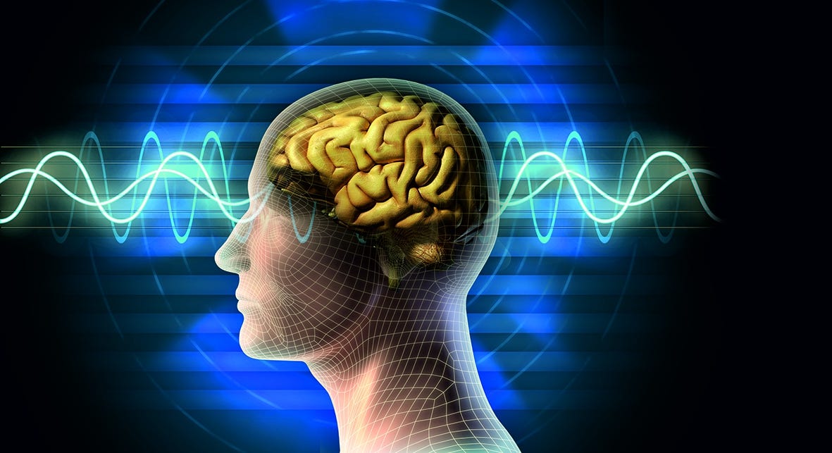 Chris Fasano | About Neuroscience, Perspective in neuroscience | by ...